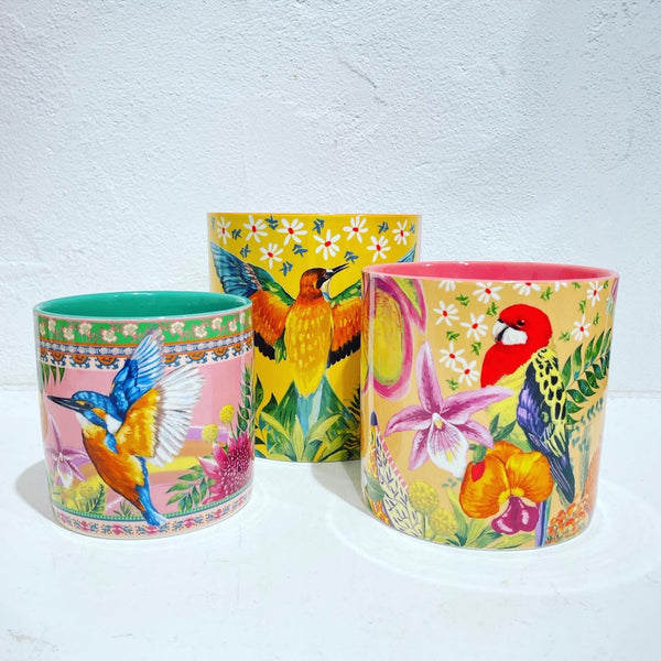 Tropicana Australiana Pot – Green Folk Botany Shop