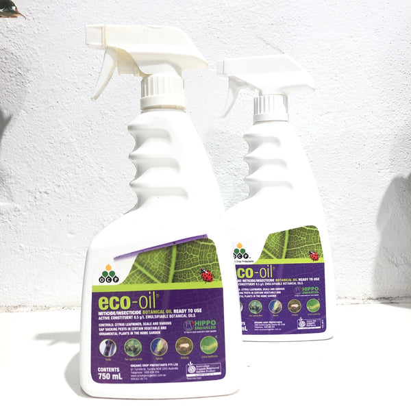 Eco Oil - RTU Botanical Spray 750ml – Green Folk Botany Shop