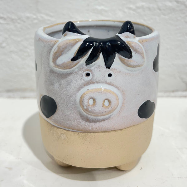 Clarrie Cow Ceramic Pot – Green Folk Botany Shop