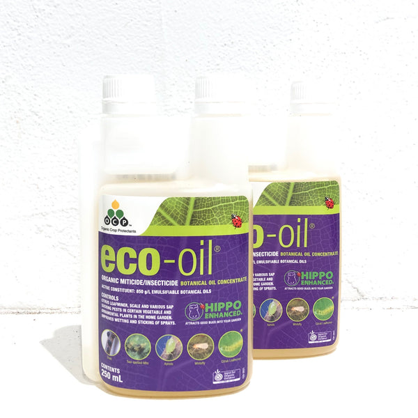 Eco Oil - Concentrate Botanical Spray 250ml – Green Folk Botany Shop